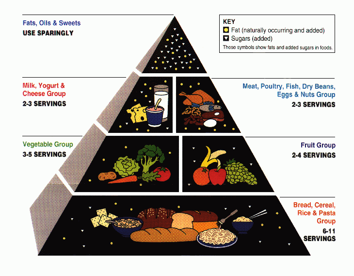 Nouvelle pyramide alimentaire 2026 – un changement révolutionnaire des ...